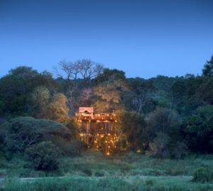 Spending a night in a treehouse: fairy-tale getaways near the Kruger ...