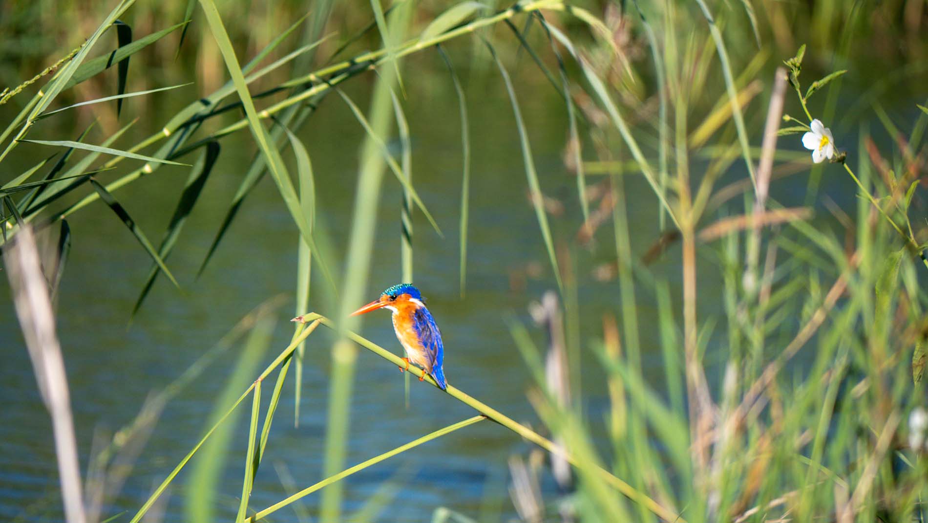 A visit to "the most underrated part of Namibia”: the Kavango region ...